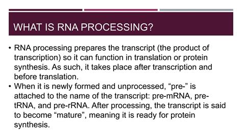 Rna Processing In Prokaryotes And Eukaryotespptx