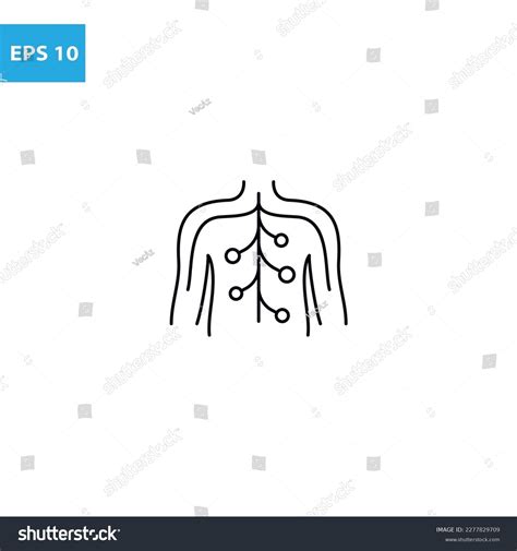 Nervous System Outline Icon Vector Illustration Stock Vector Royalty