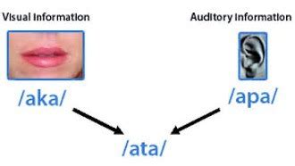 Thinking Flashcards Quizlet