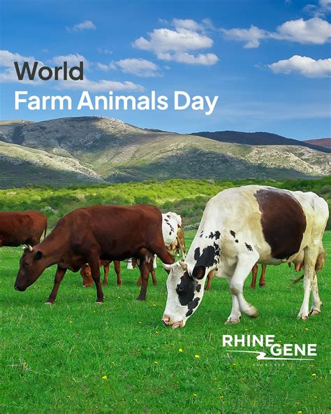 Rhinegene Bulgaria On Linkedin Днес е Световният ден на селскостопанските животни Ние следим