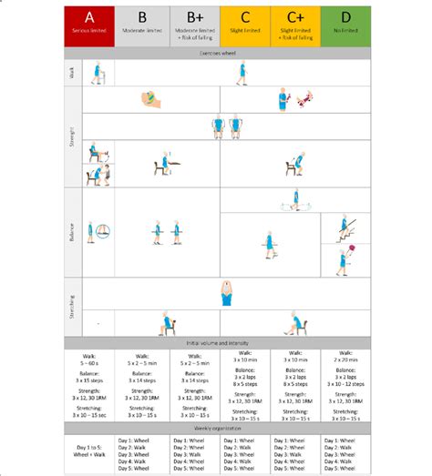 Summary Of The Vivifrail Multicomponent Exercise Intervention Program