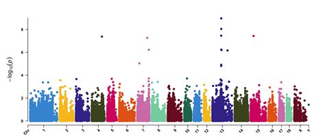 github yinlilin cmplot 📊 circular and rectangular manhattan plot