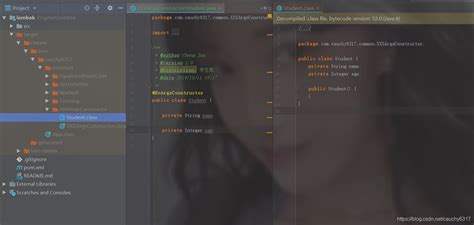 Lombok之xxxargsconstructor系列注解使用 Csdn博客