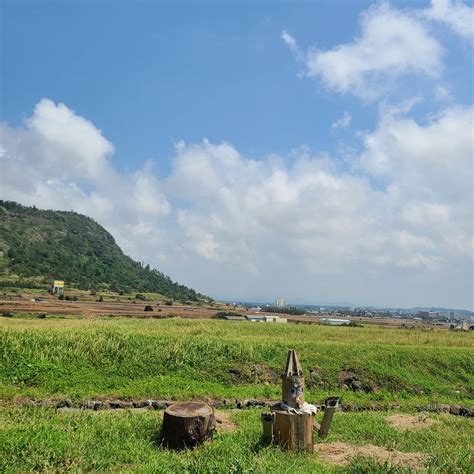 제주고산리유적 제주고산리유적 햇빛 쨍쨍 🌞🌞🌞 제주고산리유적안내센터 고산리선사유적지