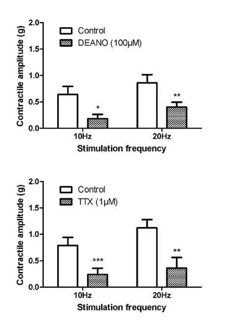 Contractile Responses To Electrical Field Stimulation 10hz And 20hz