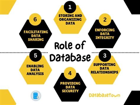 What Is Database History Terminologies Role Functions Beginners Guide