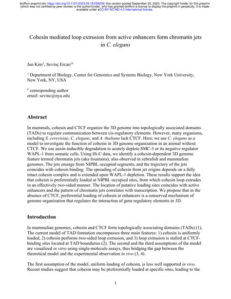 Pdf Cohesin Mediated Loop Extrusion From Active Enhancers Form Chromatin Jets In C Elegans