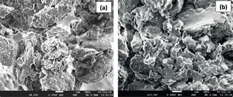 Sem Micrographs Of A Purified Clay And B Modified Clay Download Scientific Diagram