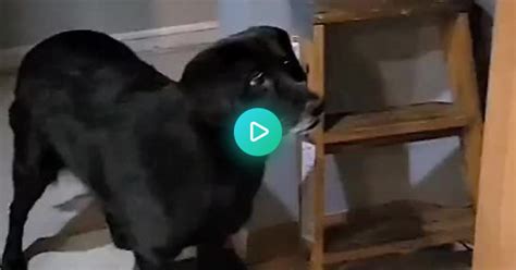 So Close Album On Imgur