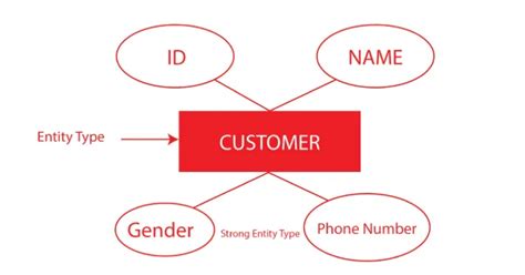 Entity In Dbms Definition Types And Examples