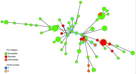 Minimum Spanning Tree Illustrating The Relationships Between The 83