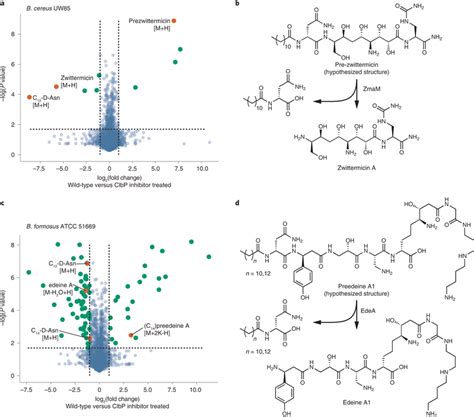 Compound 3 Can Be Used To Manipulate Other Natural Product Biosynthesis Download Scientific