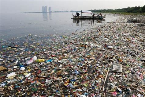 Dr Mahipal Singh Sankhla On Linkedin Microplastics Everywhere A