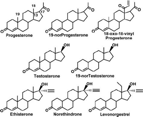 Theme Progestogens Progesterone And Synthetic Progestins Gender Analysis