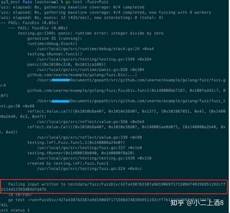 Golang 模糊测试 简明教程 知乎