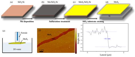 Nanomaterials Special Issue 2d Nanomaterials Graphene And Beyond Graphene