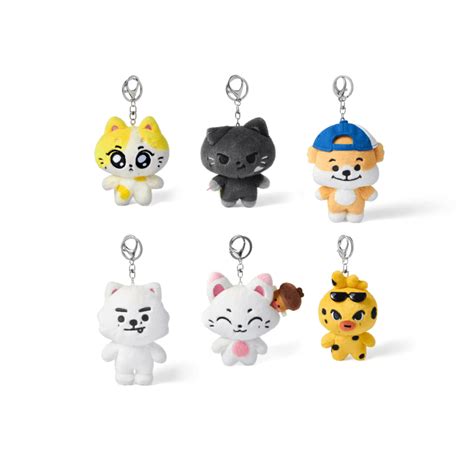 Pre Order Enhypen Inside Your Pocket Enchin Character Official Md