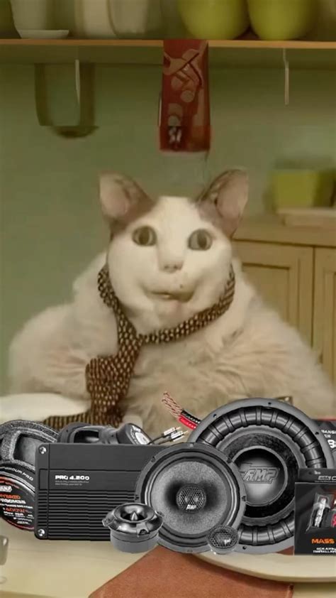 Установка автозвука в спб шумоизоляция авто Выполнили Оклейку в тонирующий полиуретан фар и