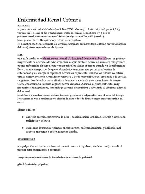 Enfermedad Renal Cronica Pdf