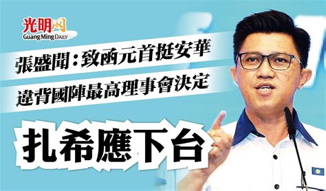 張盛聞：違背國陣最高理事會決定 扎希應下台 国内 2022年第15届全国大选 2022 11 23 光明日报