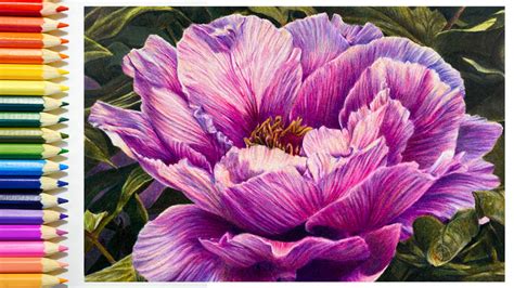How To Draw Realistic Flowers With Colored Pencils Step By Best