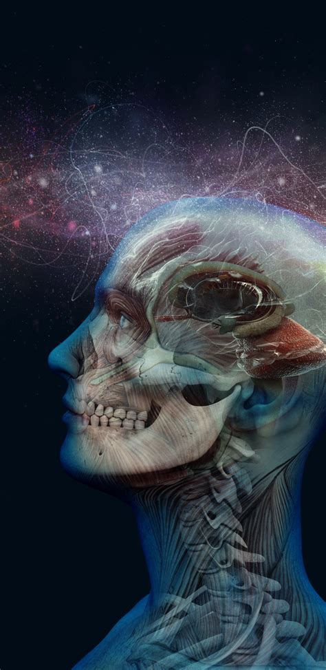 10 Mind Myths Debunked From Sex Addiction To The Five Stages Of Grief South China Morning Post