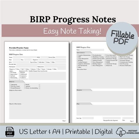 BIRP Progress Note Psychotherapy Notes Therapy Tools Private Practice Forms Clinical