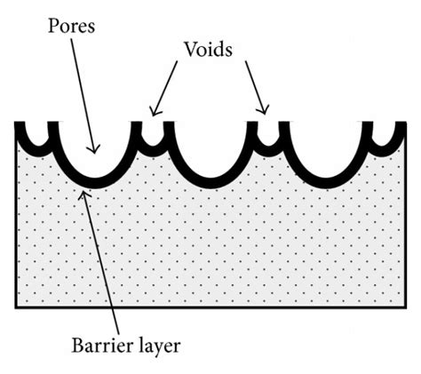 Schematic Diagram Of The Evolution Of A Nanotube Array At Constant Download Scientific Diagram