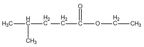 Organic Chemistry Functional Groups Alkane Alkene Alkyne