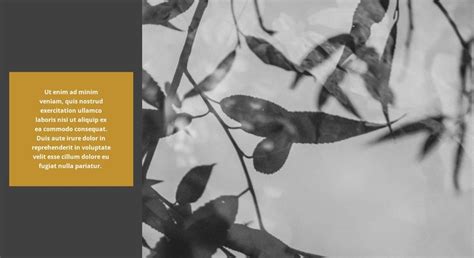 Nature Creates Incredible CSS Template By Nicepage Nature Creates Incredible CSS Template By Nicepage