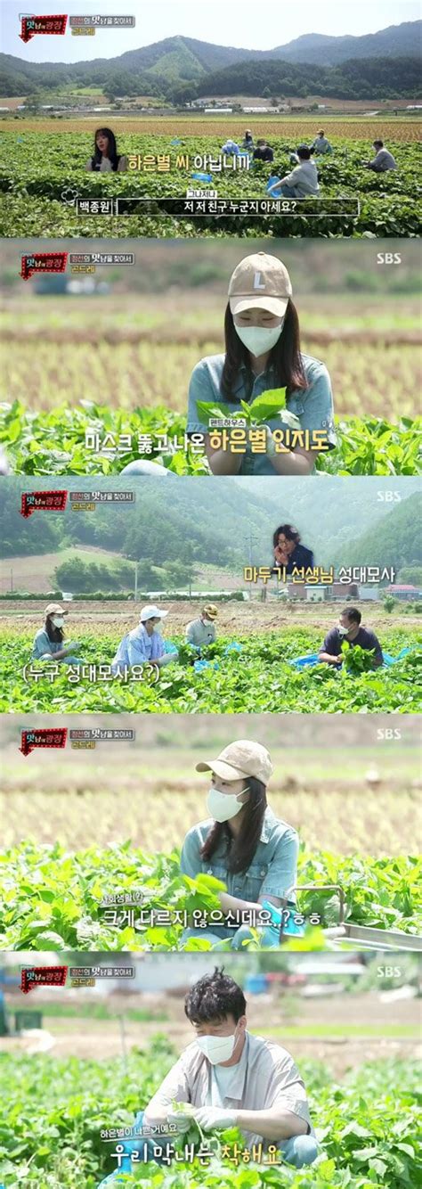 백종원 펜트하우스 하은별役 최예빈 현실에선 착해 맛남의 광장 네이트 연예