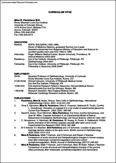 Cv Format Usa Plantillas De Cv Para Descargar ¡crea Un Cv