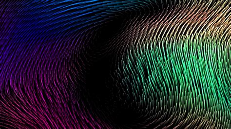 Try These Fixes For The MacOS Permanent Screensaver Bug Lifehacker