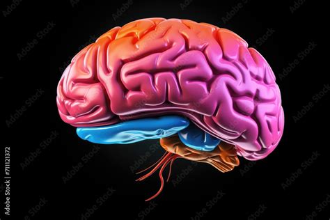 Ilustración De Stock Colorful Vivid Motley Human Brain Anatomy Cerebral