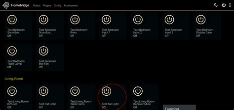 Homebridge And Home Assistant On Same Pi Only 1 Of 24 Switches Showing Up Configuration Home