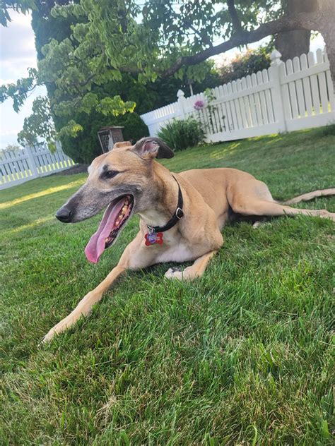Suns Out Tongues Out Scrolller
