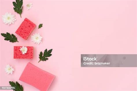 일부 폴리우레탄 스폰지 흰 꽃과 텍스트에 대 한 빈 공간에 격리 된 파스텔 핑크 배경 누워 녹색 잎의 높은 각도 톱 볼 0명에 대한 스톡 사진 및 기타 이미지 Istock