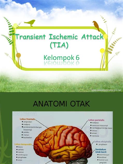 Transient Ischemic Attack Tia Pdf Sains And Matematika