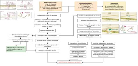 SOLUTION Alzheimers Disease Concept Map Studypool