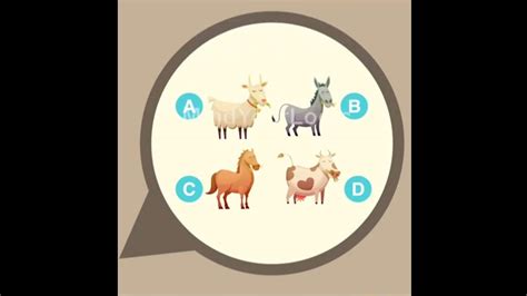 Memort Test Aapke Dimag Ke Lie Remember Me Paheli Hindi Paheliyan