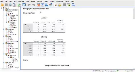 Spss Stata Dataanalysis R Datavisualization Tableau Powerbi
