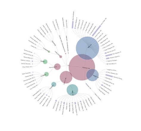 Radial Tree With Bars Explorations In Data Storytelling With Power Bi