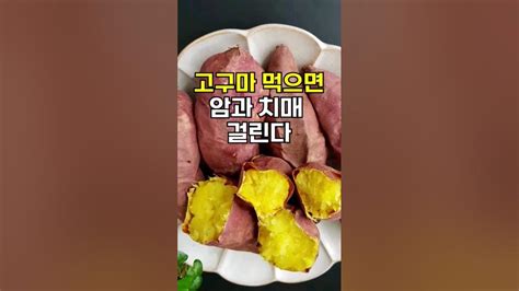 고구마 먹으면 암에 걸리고 치매 걸린다 치매 Shorts Youtube