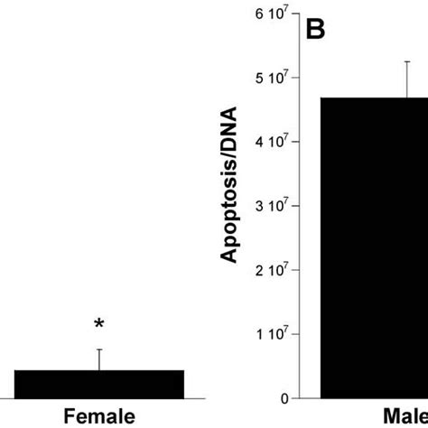 Translation Of Findings To In Vitro VIC Function Male And Female VICs Download Scientific