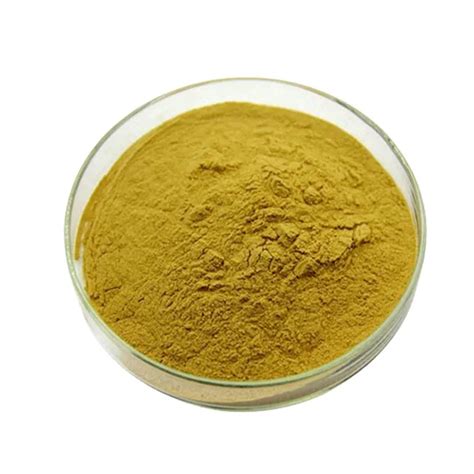 Bamboo Leaf Extract Uses Advantages And Manufacturing Processes