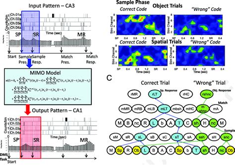 Extraction Of Hierarchical Spatiotemporal Codes Via Nonlinear Mimo Download Scientific Diagram