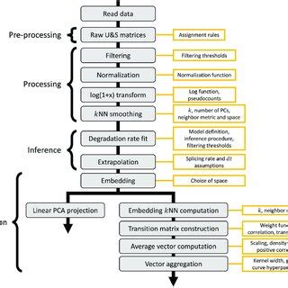 An RNA Velocity Workflow Beginning With Read Processing And Ending