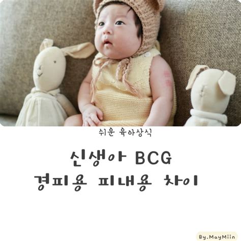 신생아 Bcg접종 피내용 경피용 차이 Feat 경피용bcg 맞은 자국 후기 네이버 블로그