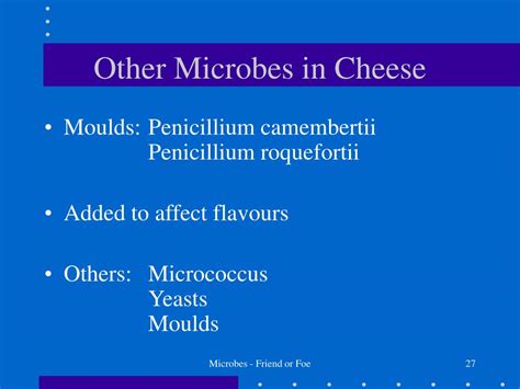 Ppt Microbes Friend Or Foe Powerpoint Presentation Free Download