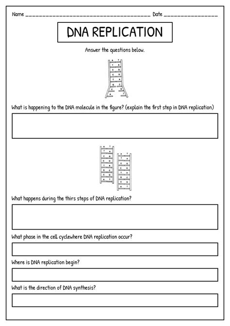 19 Dna Synthesis Worksheet Artofit